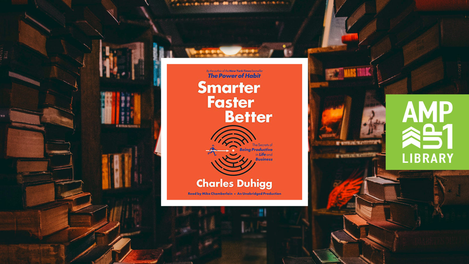 Smarter Better Faster Book Review - ampup1.com